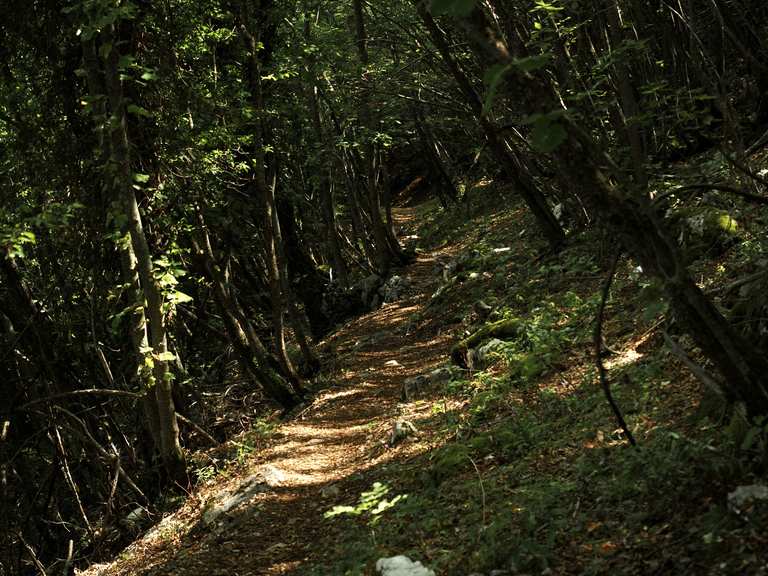 Tricky path connecting two roads: Radtouren und Radwege | komoot