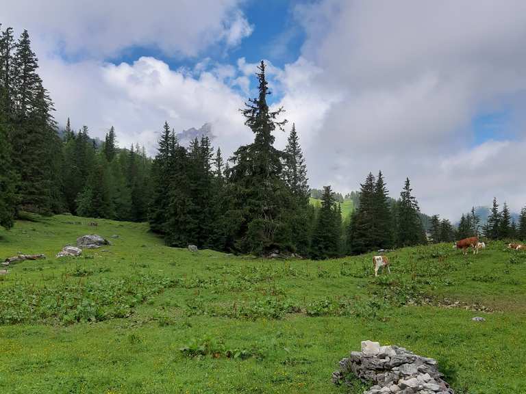 Sextener Rotwand – Rotwandwiesen Itinerario ad anello da Moos - Moso ...