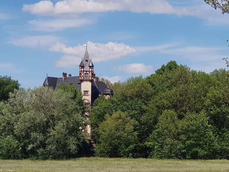 Neues Schloß Büdesheim : Radtouren und Radwege | komoot