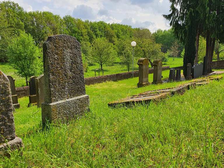 Jewish Cemetery Dormagen - Cycle Routes and Map | Komoot