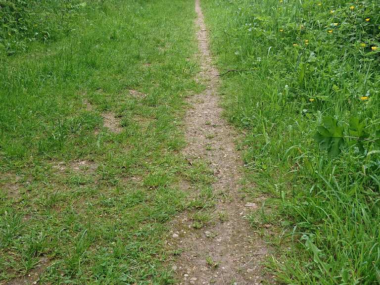 Stockley Trail - Cycle Routes and Map | Komoot