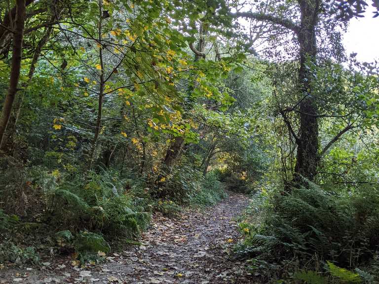 Willapark Aussichtspunkt, Minster Woods & Valency Valley Rundweg von ...