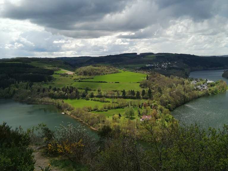 Obersauer Stausee: Wanderungen und Rundwege | komoot