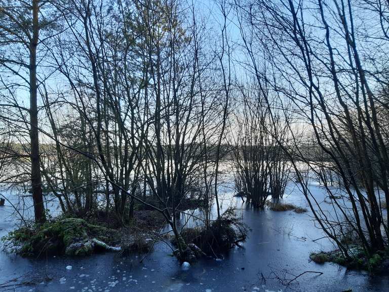 Blakemere Moss - Delamere, Cheshire West and Chester | Hiking Tips ...