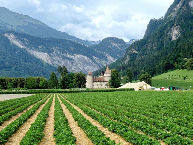 Schloss Marschlins Igis Landquart: Mountainbike-Touren und -Trails | komoot