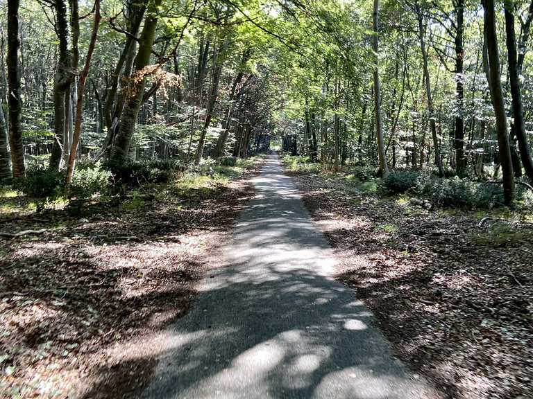 Forest Path from Barbizon to Fontainebleau – Cycling Routes & How to ...
