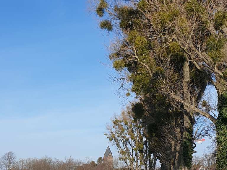 Burg Angermund (Kellnerei): Wanderungen und Rundwege | komoot