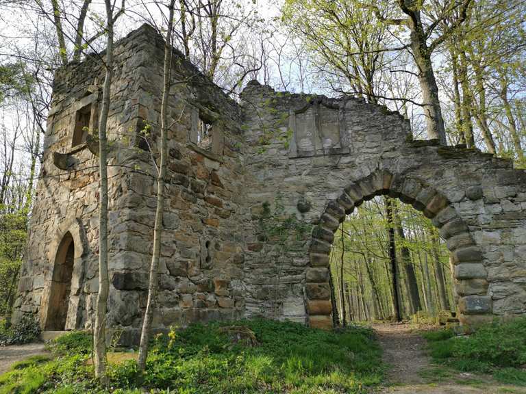 Landschaftsgarten Bettenburg: Wanderungen und Rundwege | komoot