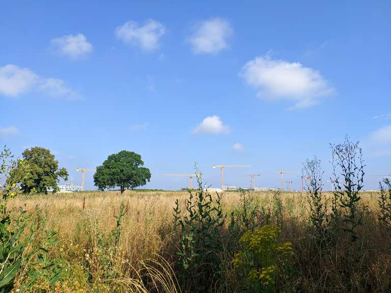 Hugo-Knappworst-Weg - fietsroutes en kaart | Komoot