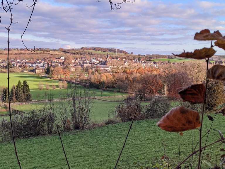 Rustbank onder oude rode beuk – Prachtig wandelpad Rondje vanuit Schin ...