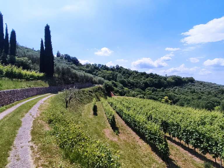 Sentiero panoramico su Verona e Novaglie: Wanderungen und Rundwege | komoot