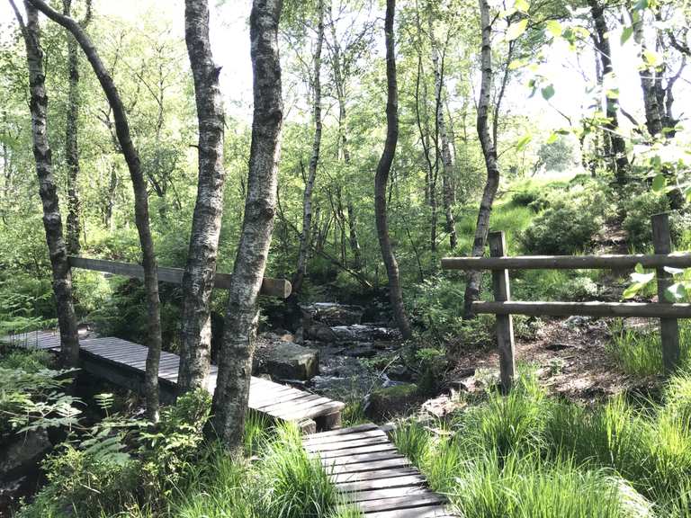 La Fagne du Fraineu - wandelroutes en hikes | Komoot