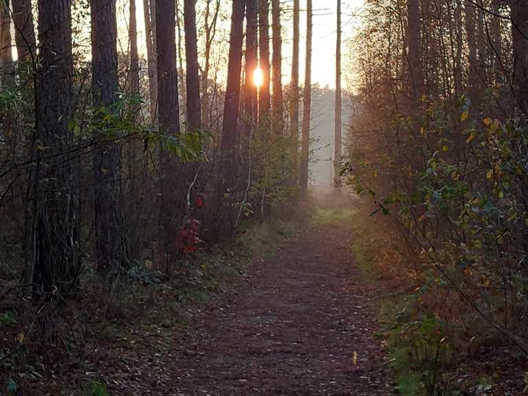 Droge heide - herstelgebied wandelroutes en hikes | Komoot