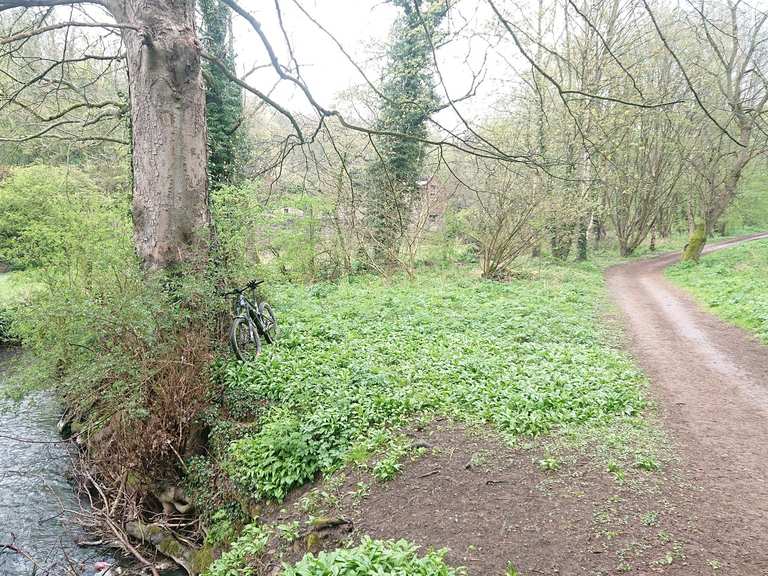 Meden Trail Mountain Bike Trails & Tracks | Komoot