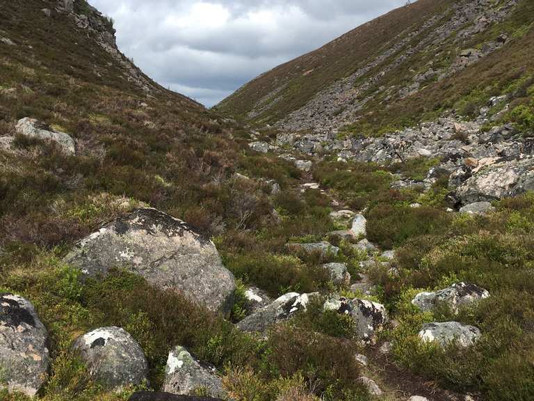 Loch Morlich and Glenmore Forest loop — Cairngorms National Park | hike ...
