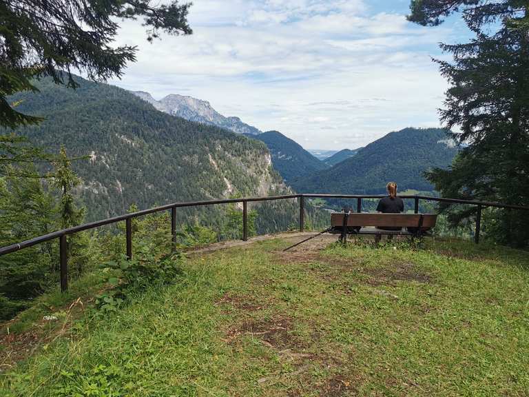 Aussichtspunkt "Teehaus am Mooslahnerkopf" Routes for Walking and ...