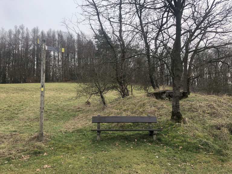 Blick über das Wiehltal Routes for Walking and Hiking | Komoot