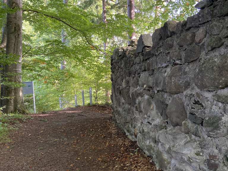 Ruine Helfenberg Routes for Walking and Hiking | Komoot