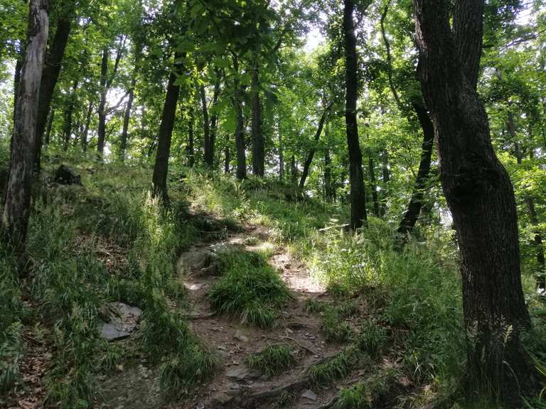 Skały Karliki: Wanderungen und Rundwege | komoot