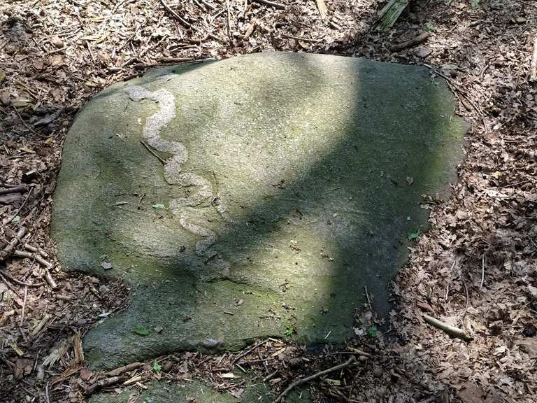 Drachenstein bei Donnern : Radtouren und Radwege | komoot