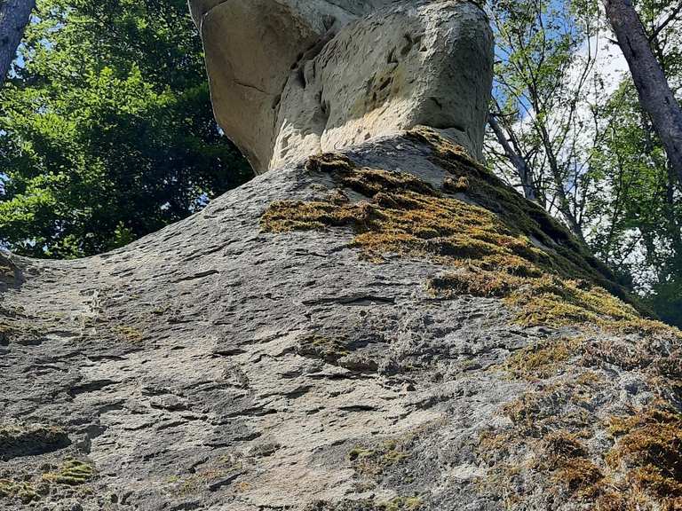 Bantiger – Bantiger Runde von Krauchthal | Wanderung | Komoot