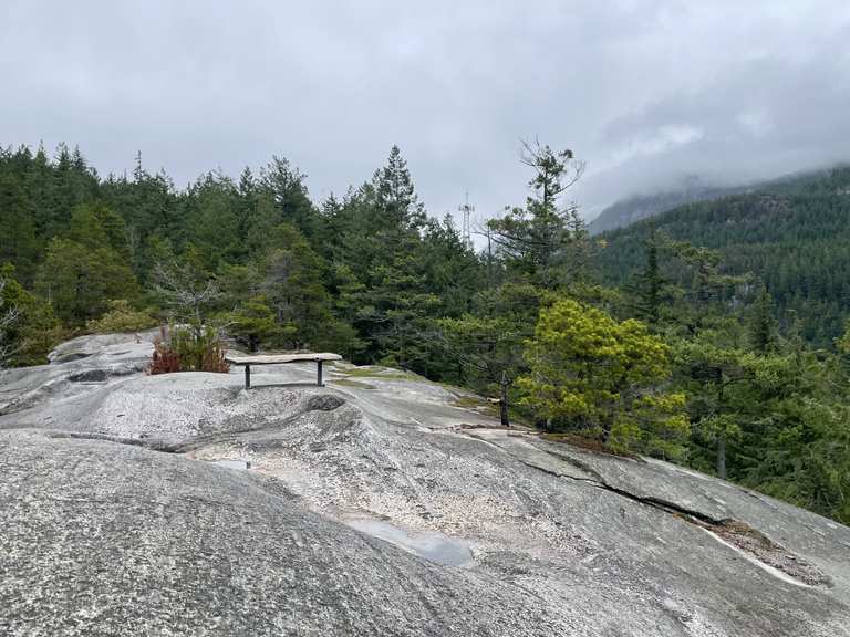 Quercus Point Routes for Walking and Hiking | Komoot