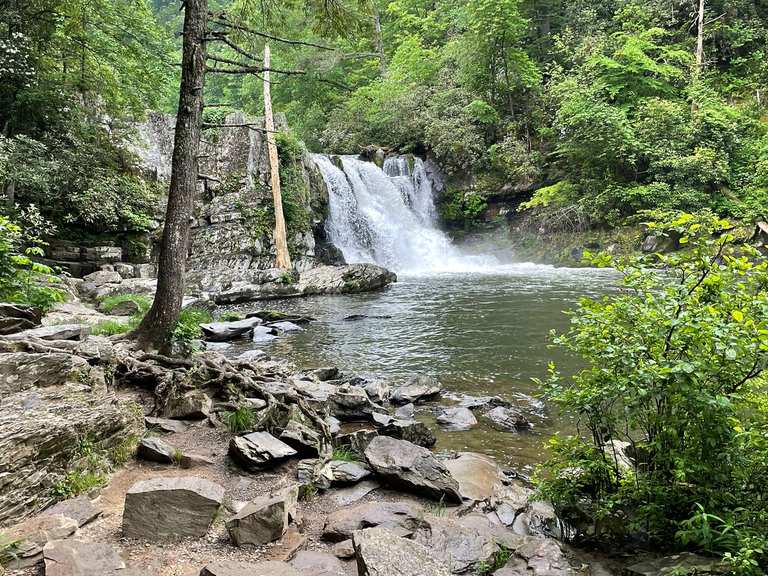 Rabbit Creek Trail to Abrams Falls Trail Loop — Great Smoky Mountains ...
