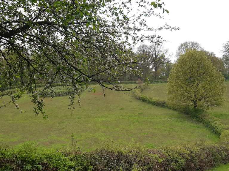 Slingerende heg wandelroutes en hikes | Komoot