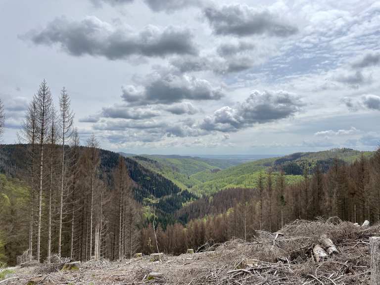 Entdeckertour von SIEBER zum GR. KNOLLEN | Wanderung | Komoot