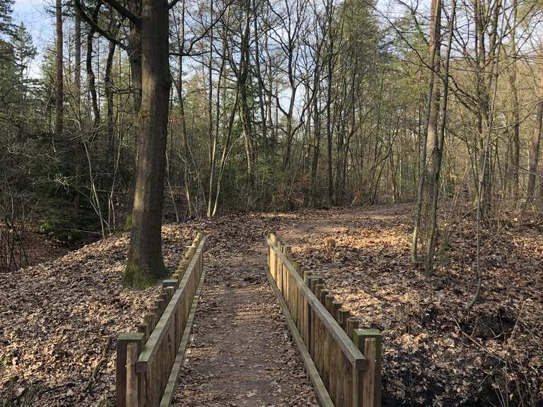Bruggetjes over sprengen – Bruggetje Rondje vanuit Epe | wandeling | Komoot
