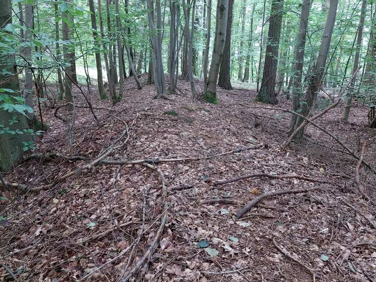 Archälologischer Wanderweg - Festungswall „Hintere Röd": MTB-routes en ...