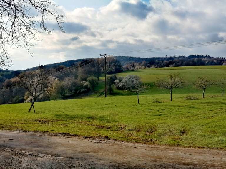 Sonnenweg (Lorsbach): Wanderungen und Rundwege | komoot