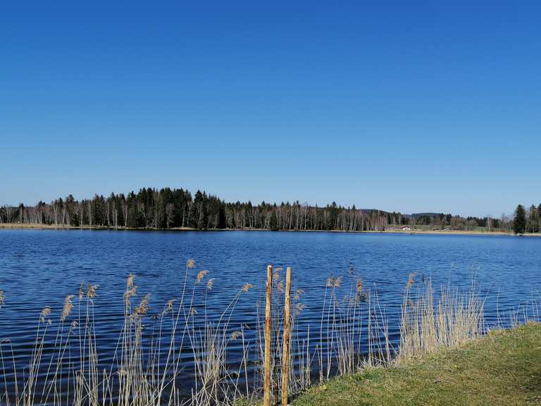 Bayersoiener See - Mountain Bike Trails & Tracks | Komoot