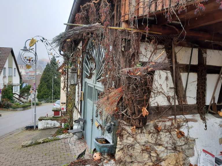 Besen D‘ Scheuer in Flacht: Wanderungen und Rundwege | komoot