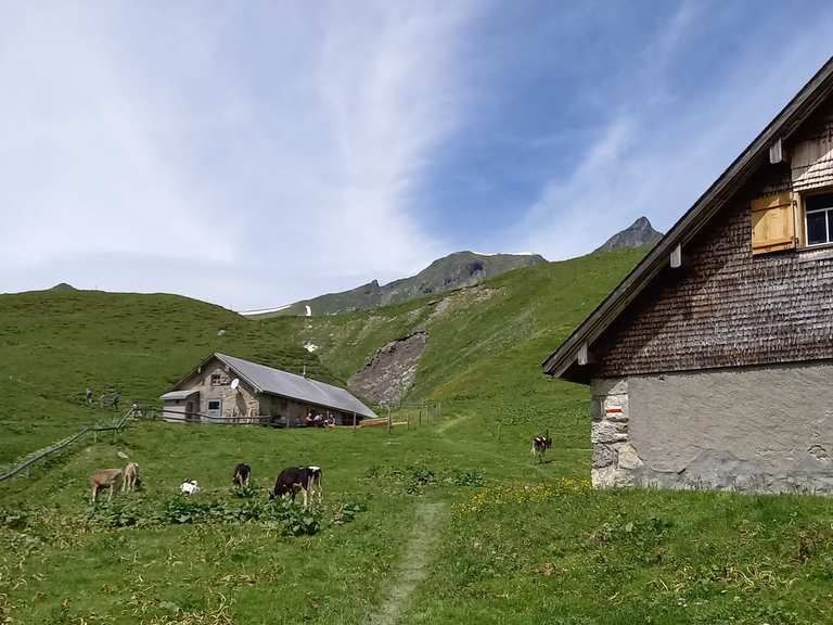 Alp Foo Routes for Walking and Hiking | Komoot