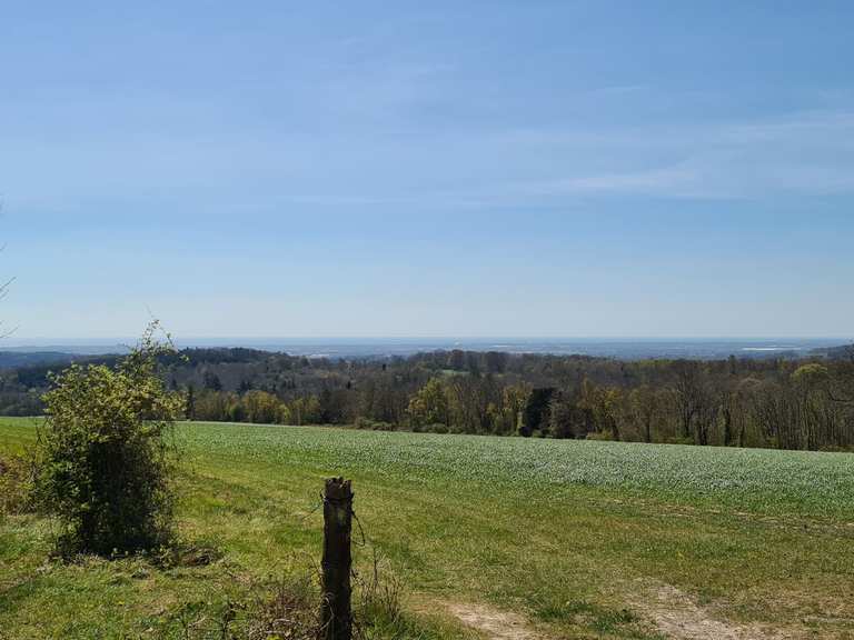 Houghton Forest loop via Bignor Hill — South Downs National Park | hike ...