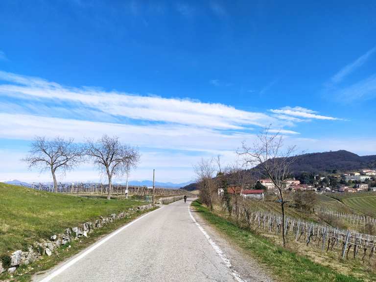 Bella strada tra Brendola e Vo' - Itinéraires vélo et carte | Komoot