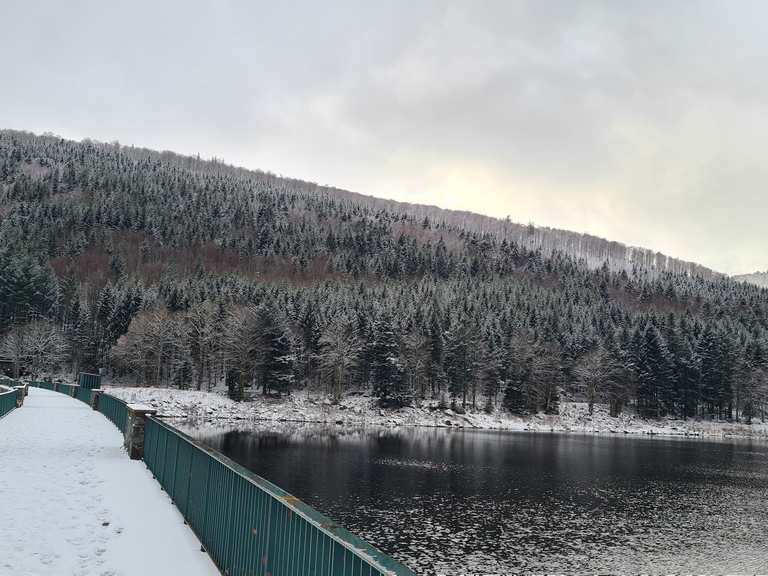 Lac de la Lauch - Itinéraires de rando et marche | Komoot