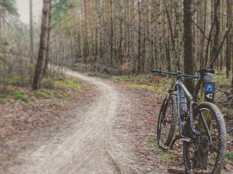 Deel MTB route Appelscha: MTB-routes en trails | Komoot