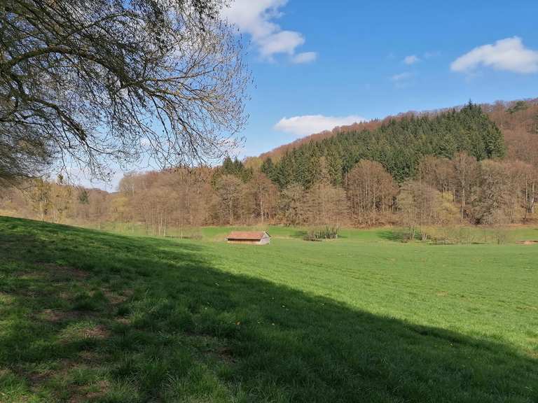 Aartal: Wanderungen und Rundwege | komoot