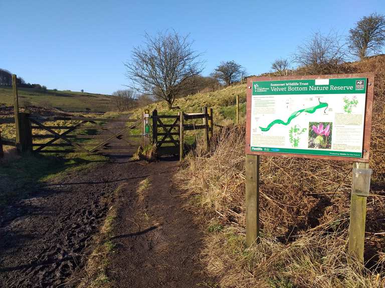 Gorge Walk – Cheddar Gorge Loop from Charterhouse | hike | Komoot