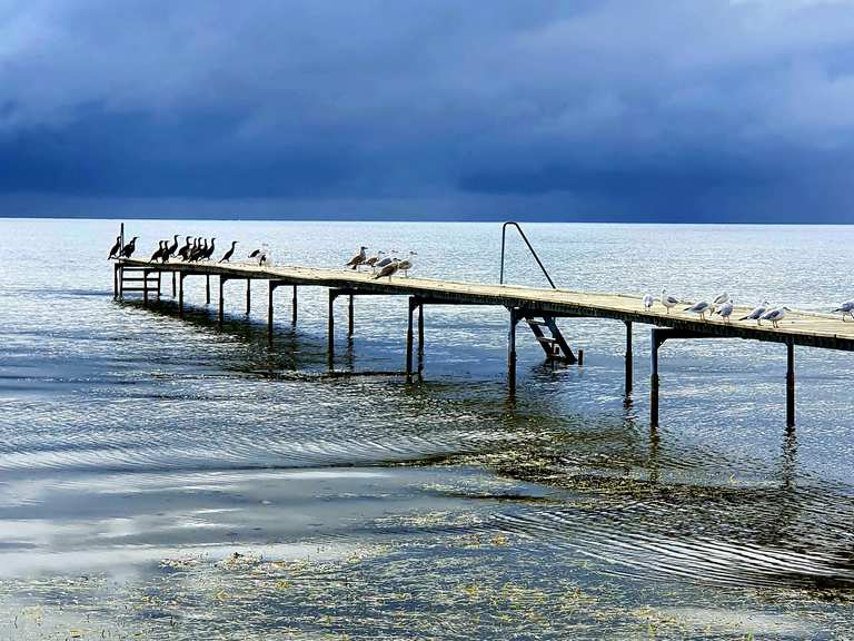 Greve Strand - Itinéraires vélo et carte | Komoot