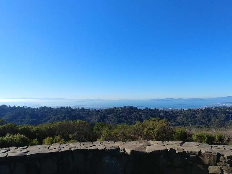 Looping do Pico Wildcat - Tilden Regional Park | trilha | komoot