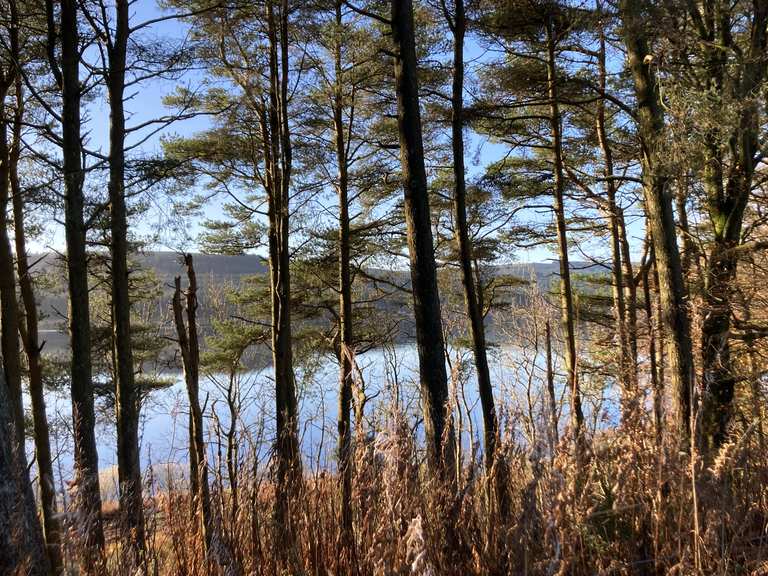 Carron Valley Reservoir Road Cycle Routes and Map | Komoot