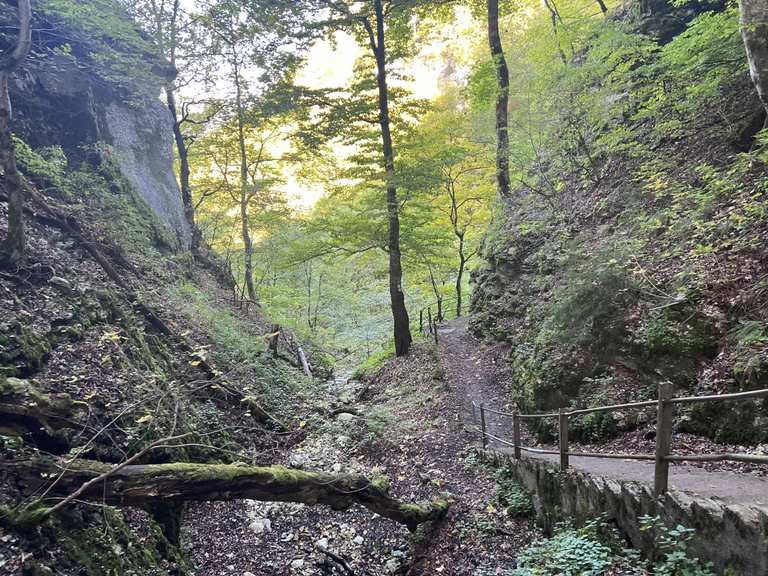 Hossinger Leiter – Gräbelesberg Runde von Laufen an der Eyach ...