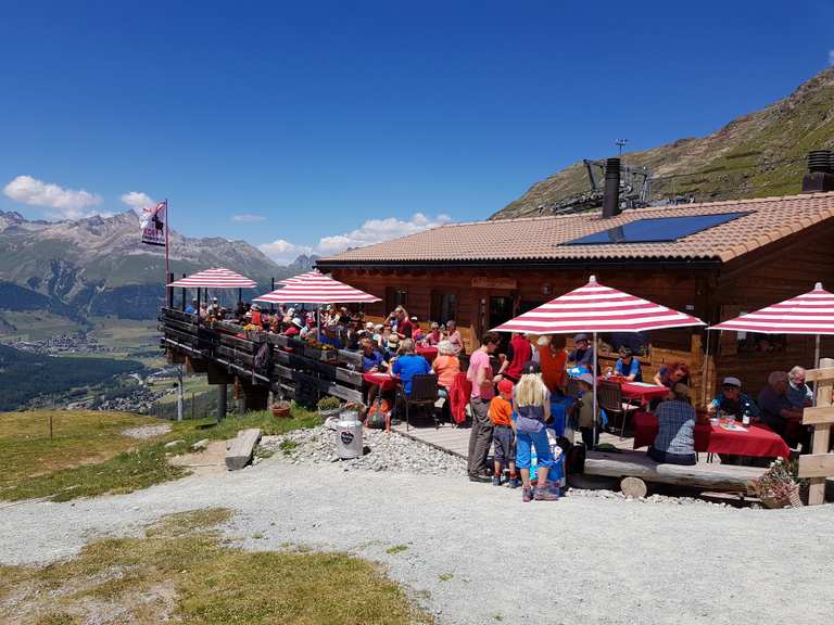 Alp Languard - Paradis Hütte - Pontresina | hike | Komoot