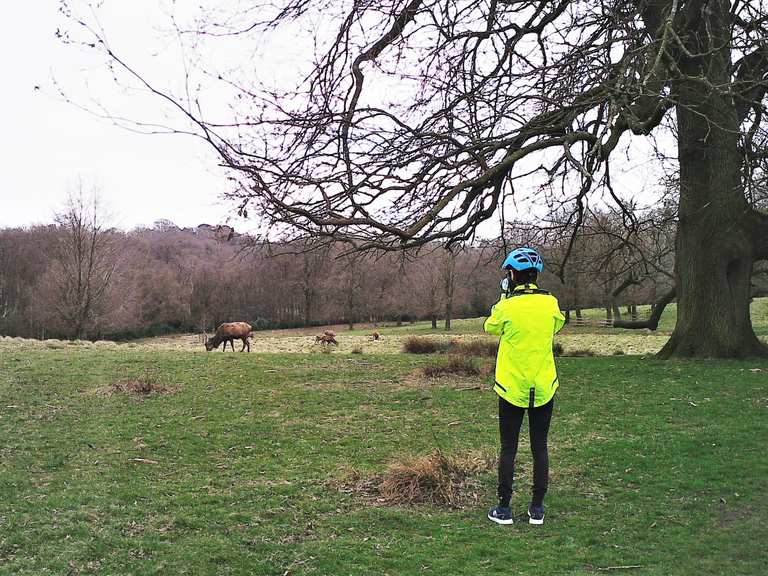 Tatton Mere – Tatton Park Loop from Warrington Bank Quay | road ride ...