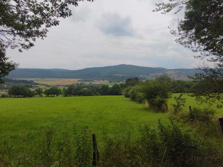 Bank mit Blick aufs Lahntal und auf das Forsthaus Wollenberg – Wander ...