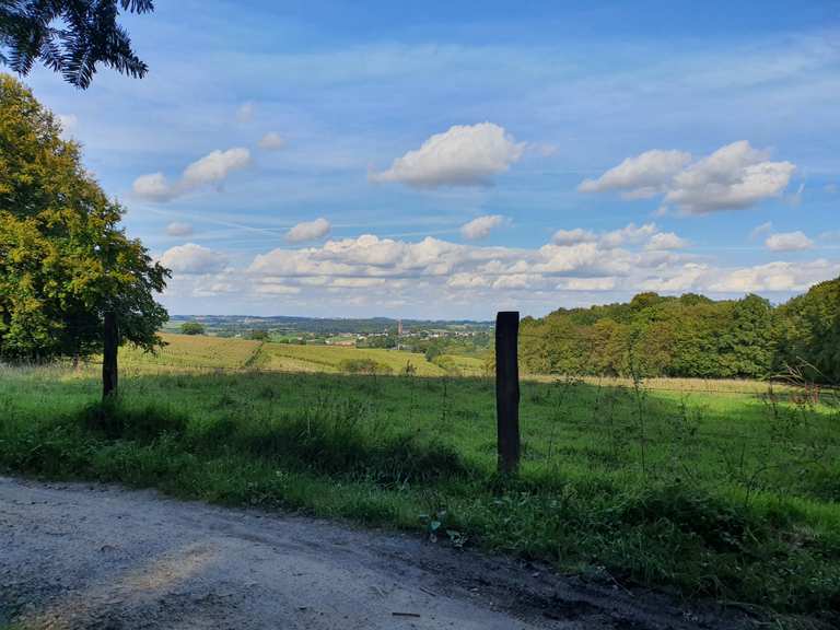 Uitzicht over Vijlen wandelroutes en hikes | Komoot