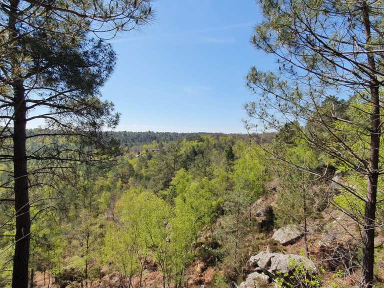 Sentier n°16 : la canche aux Merciers - Les sentiers Denecourt-Colinet ...